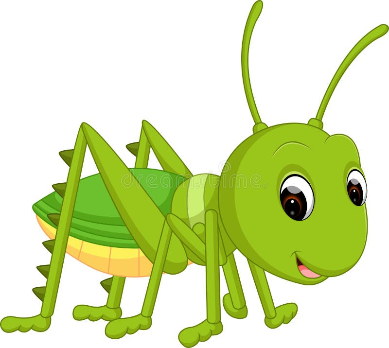 Insect cricket cartoon stock illustration. Illustration of cricket ...