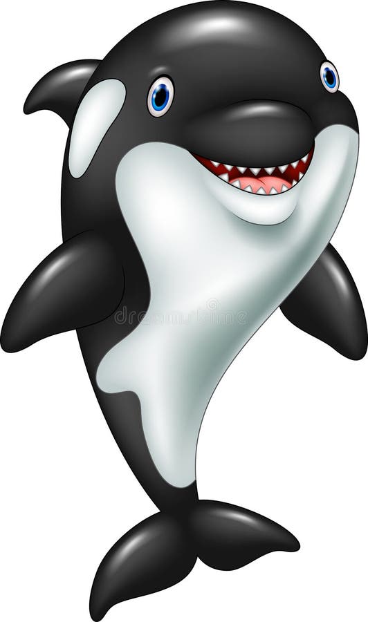 Cartoon Funny Killer Whale Standing Stock Vector - Illustration of ...