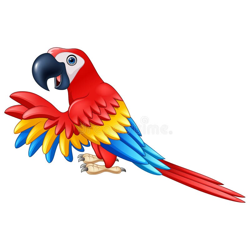 Funny macaw cartoon stock vector. Illustration of blue - 23607070