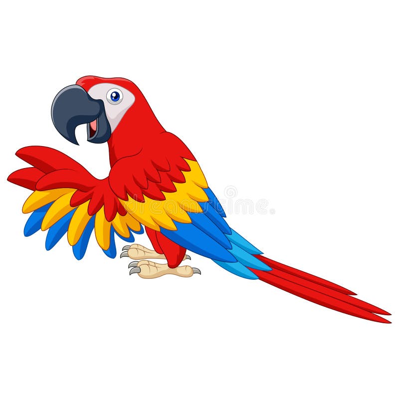 Funny macaw cartoon stock vector. Illustration of blue - 23607070