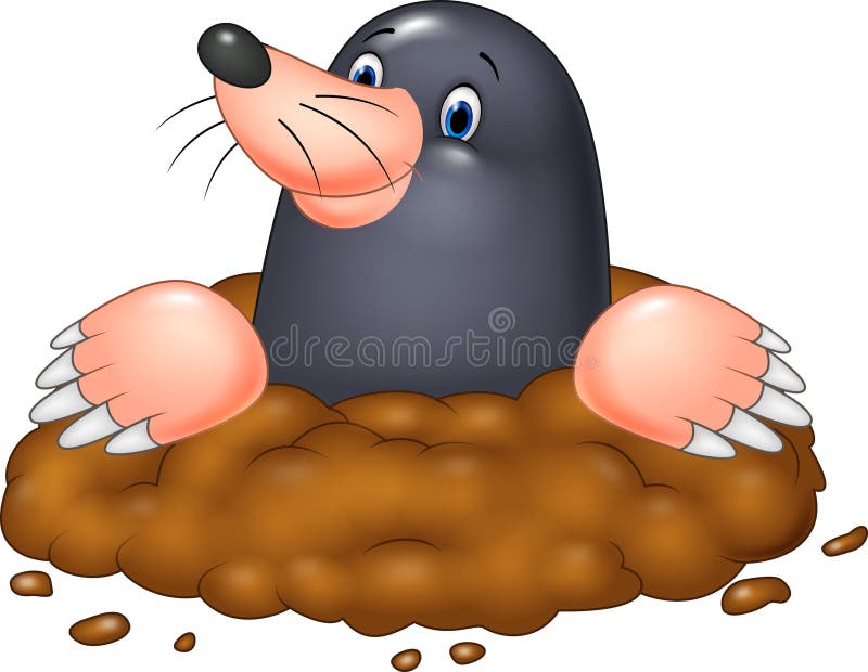 Funny mole stock vector. Illustration of glasses, pest - 25028197