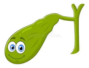 Cute Gallbladder Stock Illustrations – 425 Cute Gallbladder Stock ...