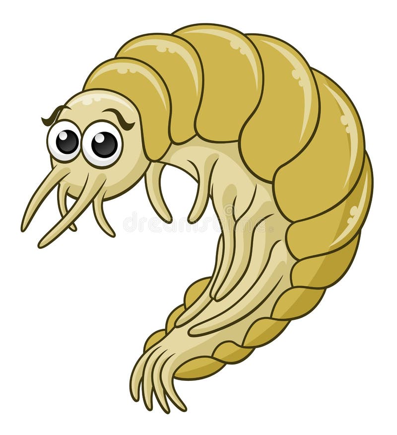 Cartoon Gammarus Stock Illustrations – 1 Cartoon Gammarus Stock ...