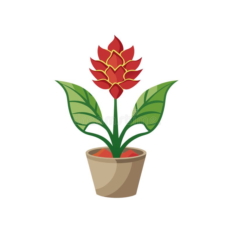 Cartoon Ginger Plant in Pot Illustration Stock Illustration - Illustration of decorative, vector ...