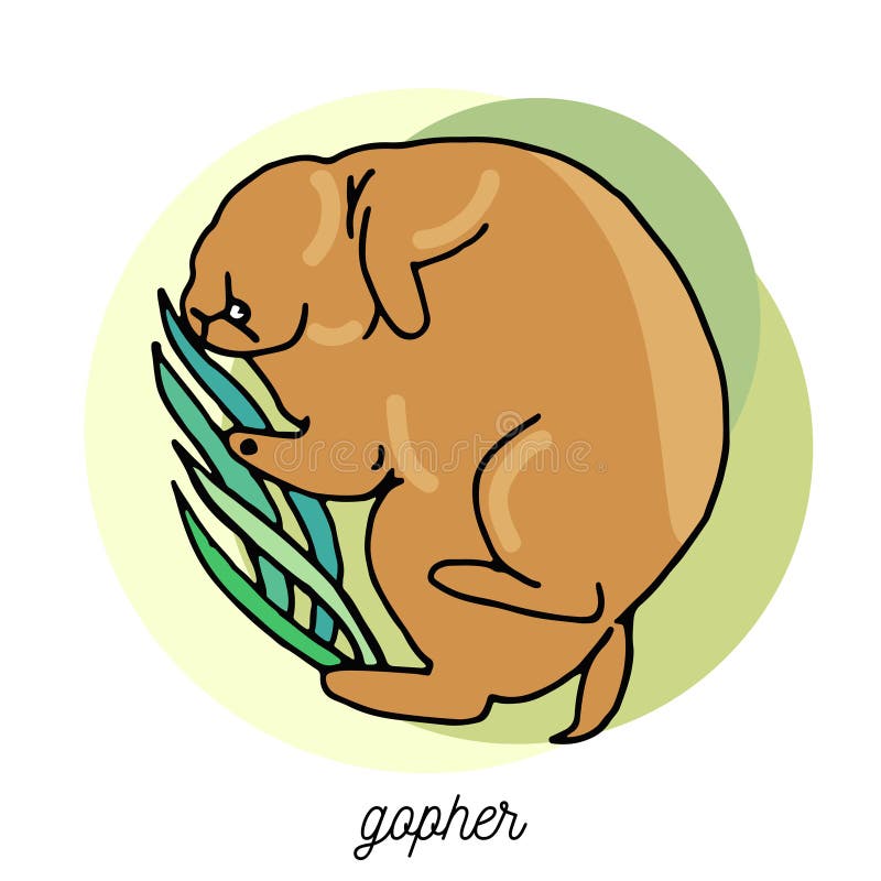 Sleeping Gopher Stock Illustrations – 8 Sleeping Gopher Stock ...