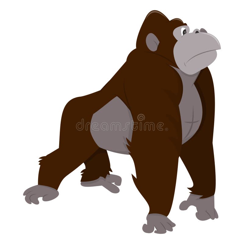 Cartoon Gorilla Beating Chest Stock Illustration - Illustration of ...