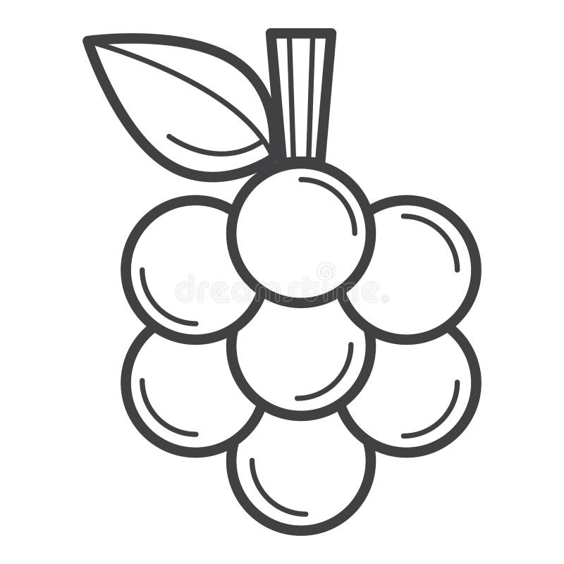 Cartoon grape stock vector. Illustration of agriculture - 258233973