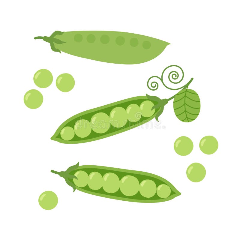 Green Peas Illustration Cartoon Stock Illustration Illustration Of Health Glitter 31968602
