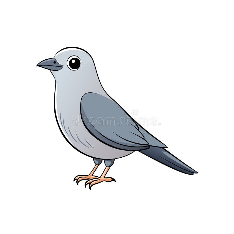 Cartoon Illustration of a Grey Bird Standing Profile View Stock ...