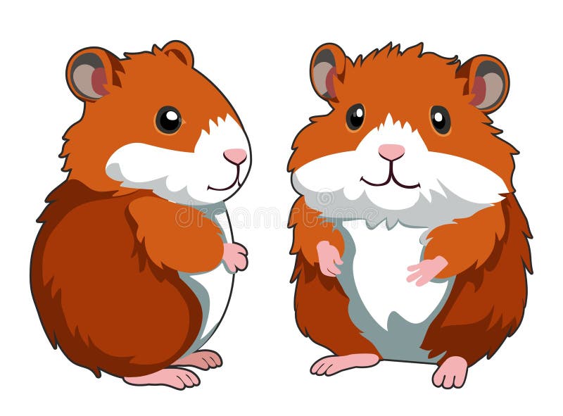 Hamster Cartoon, Pet, Vector. Two Front and Side Views. Stock Vector ...
