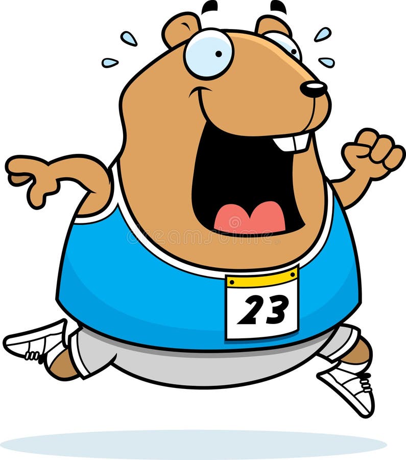 Cartoon Hamster Running Race Stock Vector - Image: 52058776