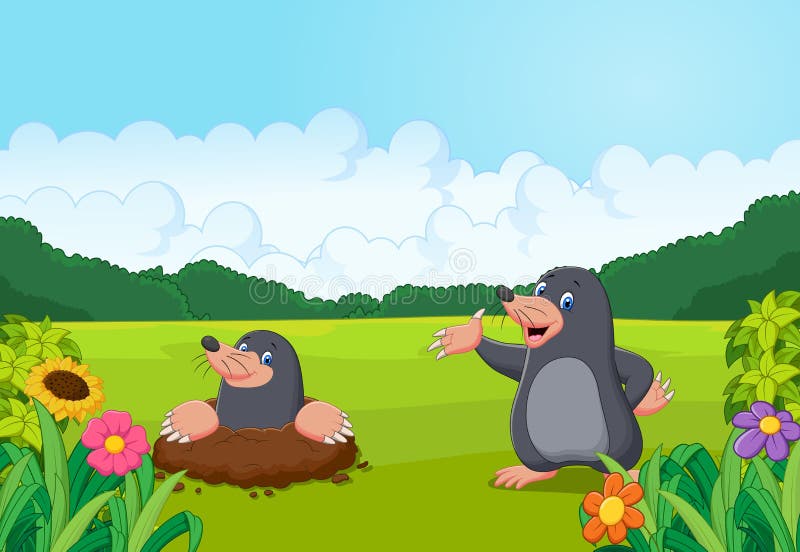 Cartoon Mole Stock Illustrations – 2,626 Cartoon Mole Stock ...