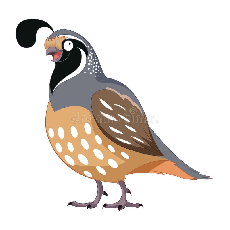 Cartoon Quail Stock Illustrations – 2,104 Cartoon Quail Stock ...