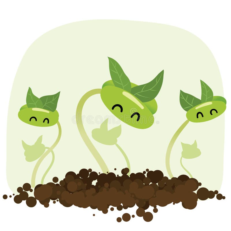 Seed Sprout Smiling stock vector. Illustration of smiling - 14957281