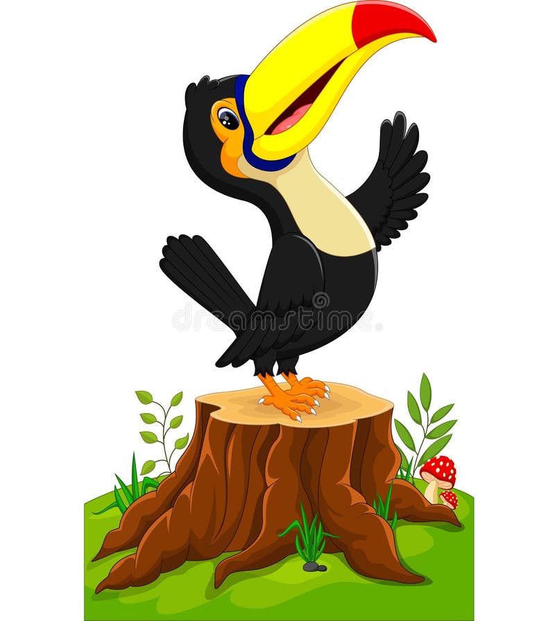 Happy Toucan Cartoon with Presentation Stock Vector - Illustration of ...