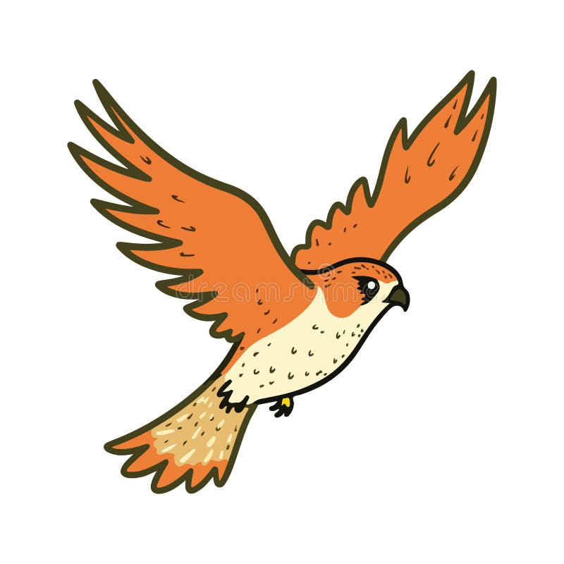 Cartoon Hawk in Flight stock illustration. Illustration of cartoon ...