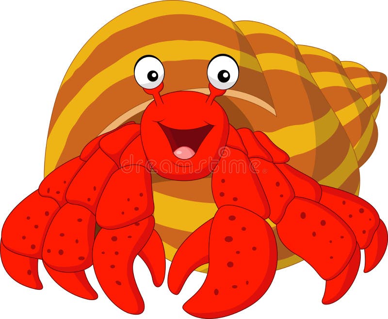 Cartoon hermit crab stock vector. Illustration of drawing - 90768209