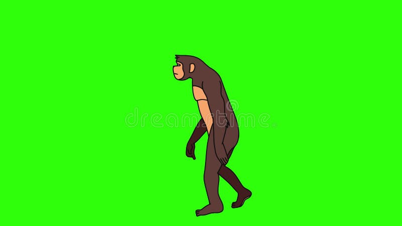 Cartoon Human Evolution Animation. Stock Footage - Video of origin ...