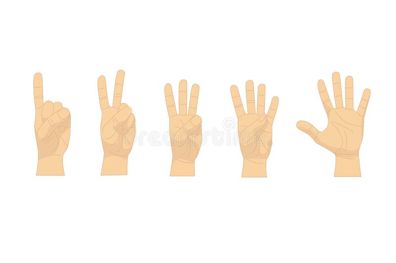 Cartoon Human Hand Showing Numbers Set Row. Vector Stock Vector ...