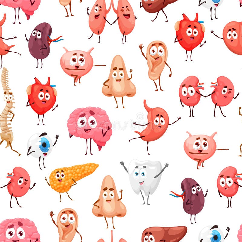 Cartoon Human Body Internal Organs Characters Stock Vector ...