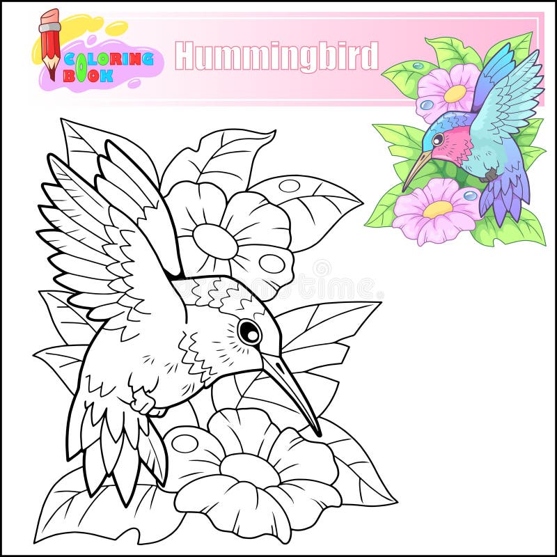Coloring Colibri Stock Illustrations – 221 Coloring Colibri Stock ...