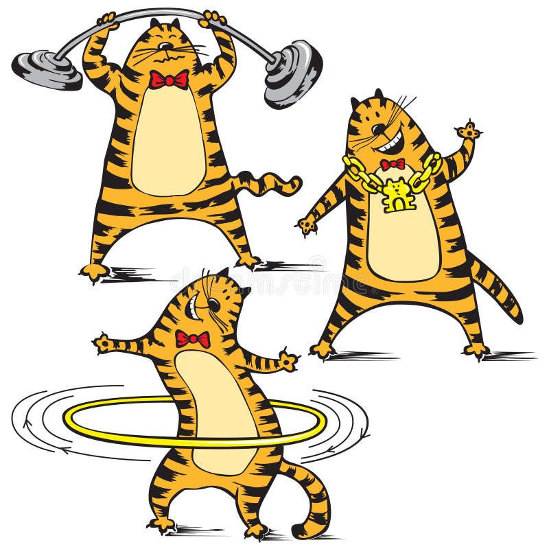 Sports Funny Cat Makes Exercise Stock Vector - Illustration of positive ...