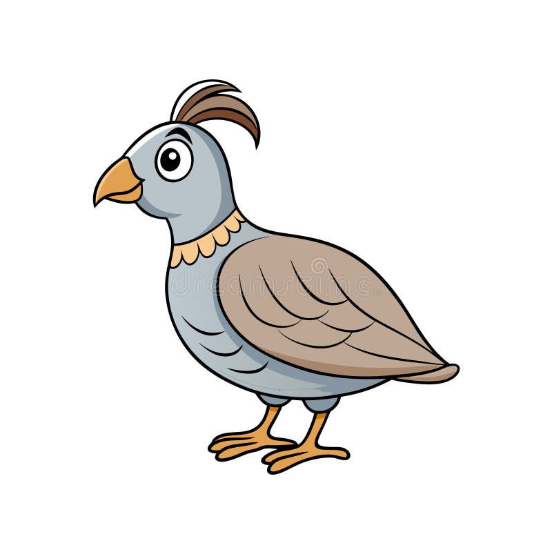 Cartoon Illustration of a Cute Quail Standing Sideways Stock ...