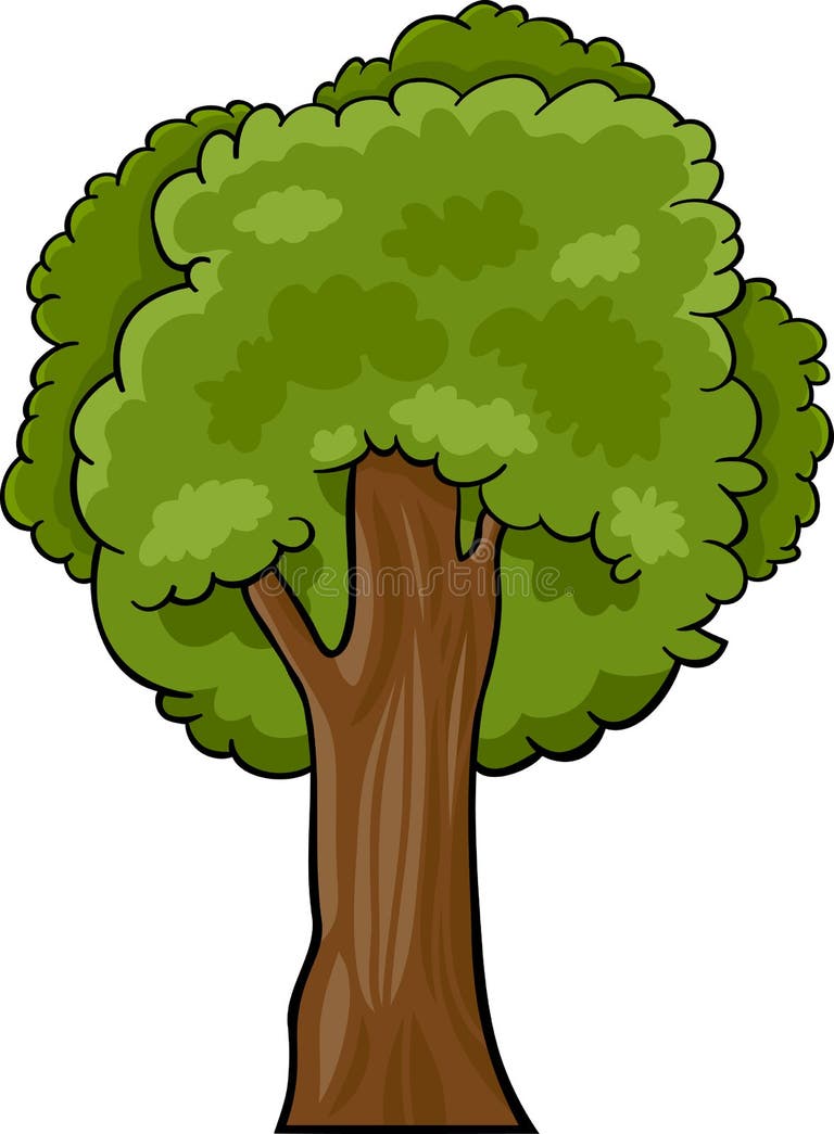 Beech Tree Cartoon Stock Illustrations – 959 Beech Tree Cartoon Stock ...