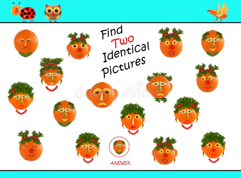 Cartoon Illustration of Finding the Same Picture. Educational Game for ...
