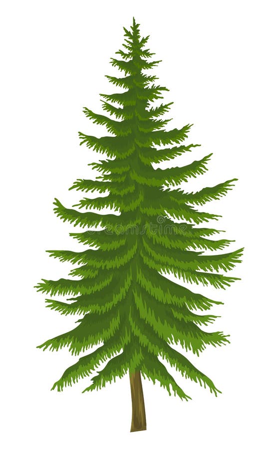 Cartoon Illustration of Fir-tree Isolated at White Background ...