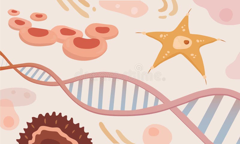 Cartoon of human cells stock illustration. Illustration of vein - 161616614