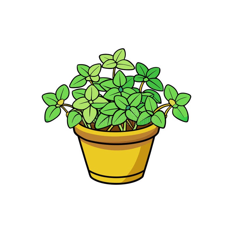 Cartoon Illustration of a Thyme Plant in a Pot Stock Illustration ...