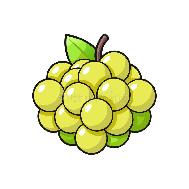 Cartoon Illustration of White Grape Bunch with Leaf Stock Illustration ...