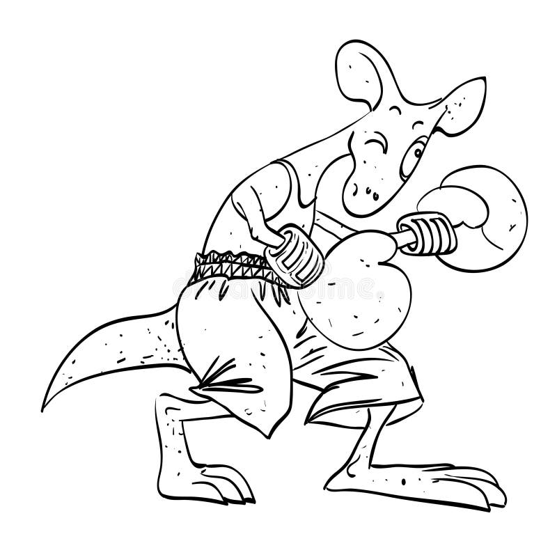 Kangaroo Cartoon Boxing