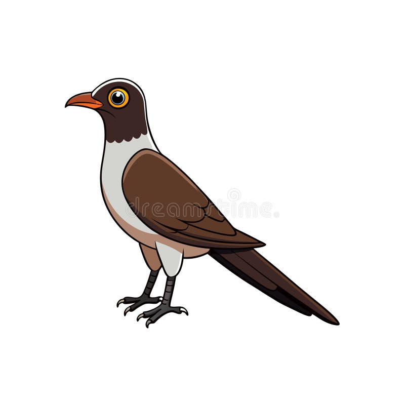 Bird Cuckoo Outline Stock Photos - Free & Royalty-Free Stock Photos ...