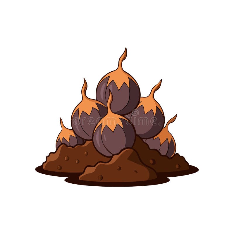Cartoon Image of Fresh Hazelnuts in Soil Heap Stock Illustration ...