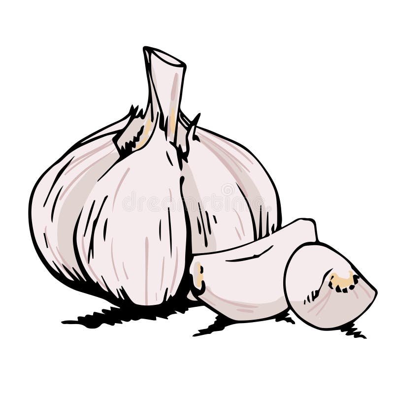 Cartoon Garlic Stock Illustrations – 4,366 Cartoon Garlic Stock ...
