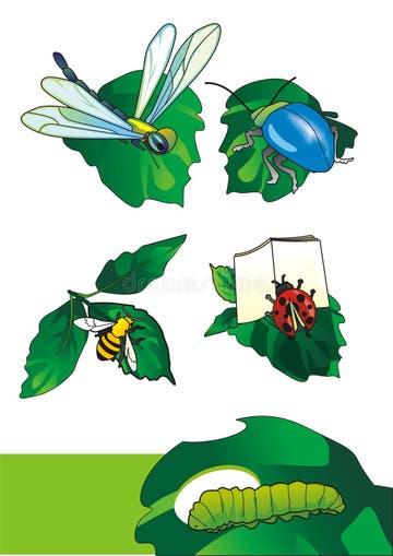 Smiling Insects Stock Illustrations – 1,146 Smiling Insects Stock ...