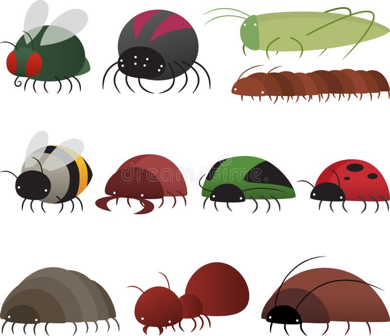 June Bug Stock Illustrations – 219 June Bug Stock Illustrations ...