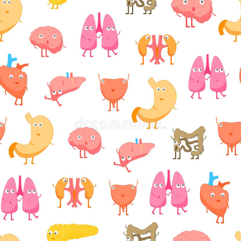 Cartoon Internal Organs Set on White. Lungs, Heart, Kidneys, Liver ...