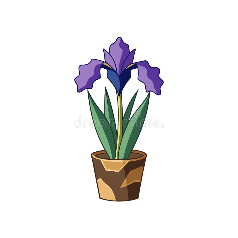 Cartoon Iris Flower in Pot Illustration Stock Image - Illustration of ...