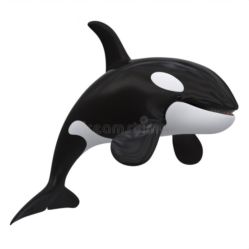 Orca Whale Cartoon The Orca (Killer Whale) | Help Free A BEACHED