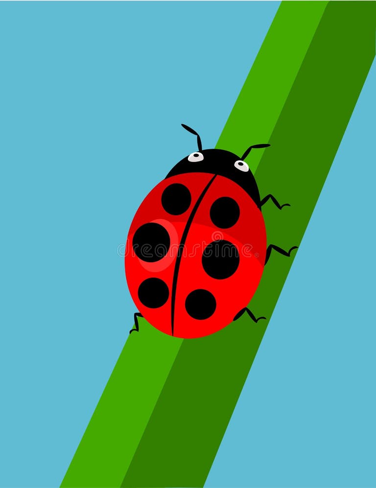 Ladybug Walking Stock Illustrations – 280 Ladybug Walking Stock ...