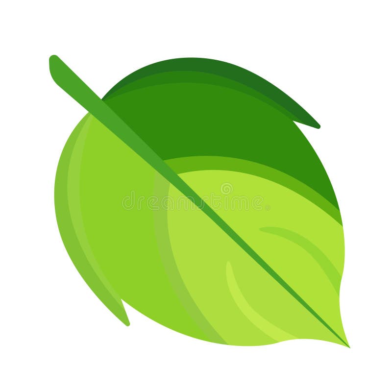 Cartoon Leaf Icon on White. Vector Illustration Stock Vector ...