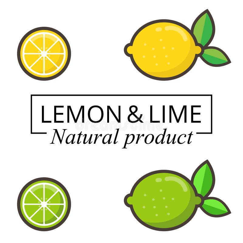 Lime stock vector. Illustration of ingredient, vegetarian - 92540006