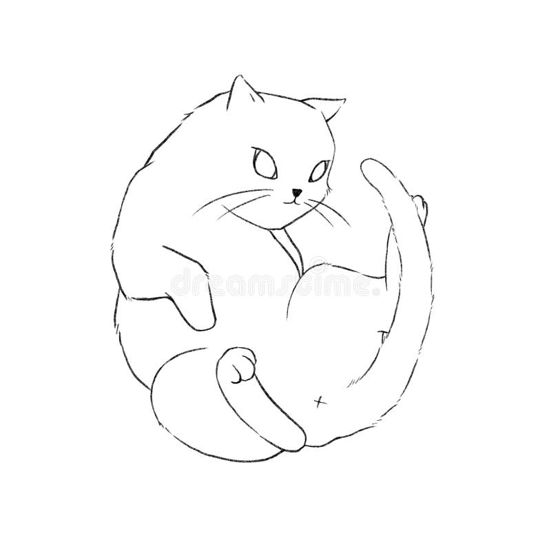 Cartoon Line Drawing of Cat Lay on Its Back Stock Illustration ...