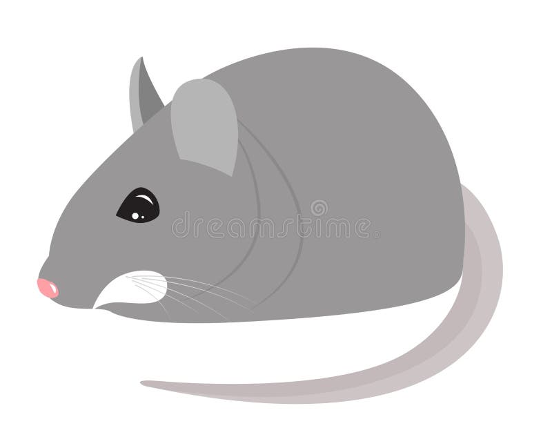 Cat and mouse stock vector. Illustration of food, hunter - 34228806