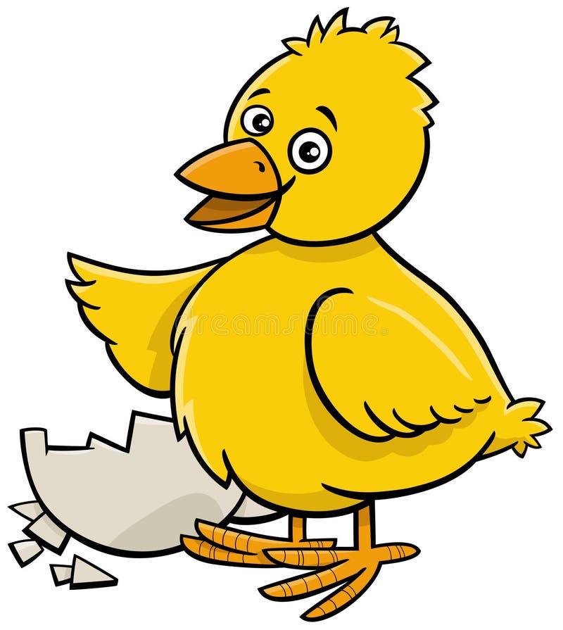 Cartoon Little Yellow Chick Hatched from Egg Stock Vector ...