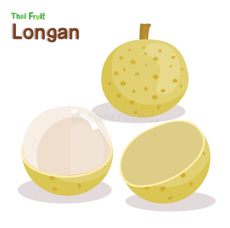 Cartoon Longan Stock Illustrations – 795 Cartoon Longan Stock ...