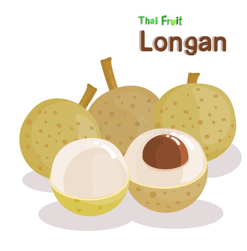Cartoon Longan Stock Illustrations – 795 Cartoon Longan Stock ...